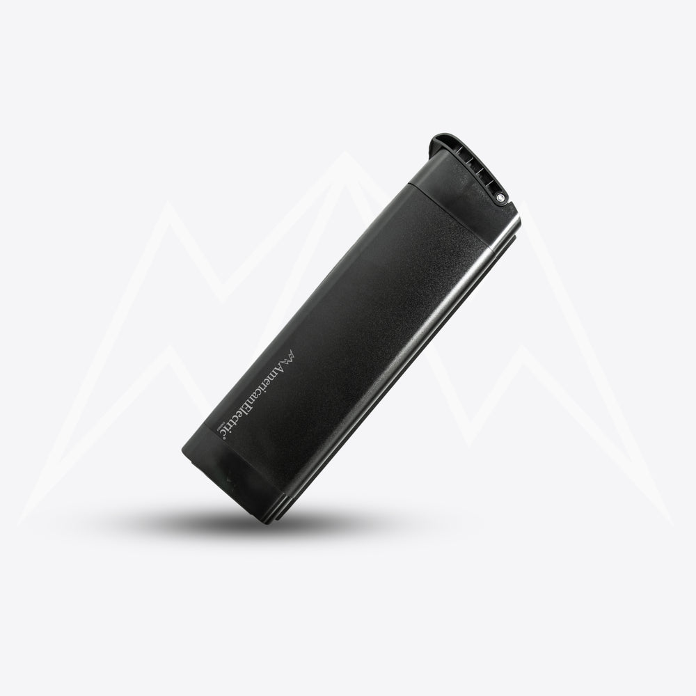 Bagi Bike B20 Hero Battery Pack 48V 15AH 20AH | USA-Made ...