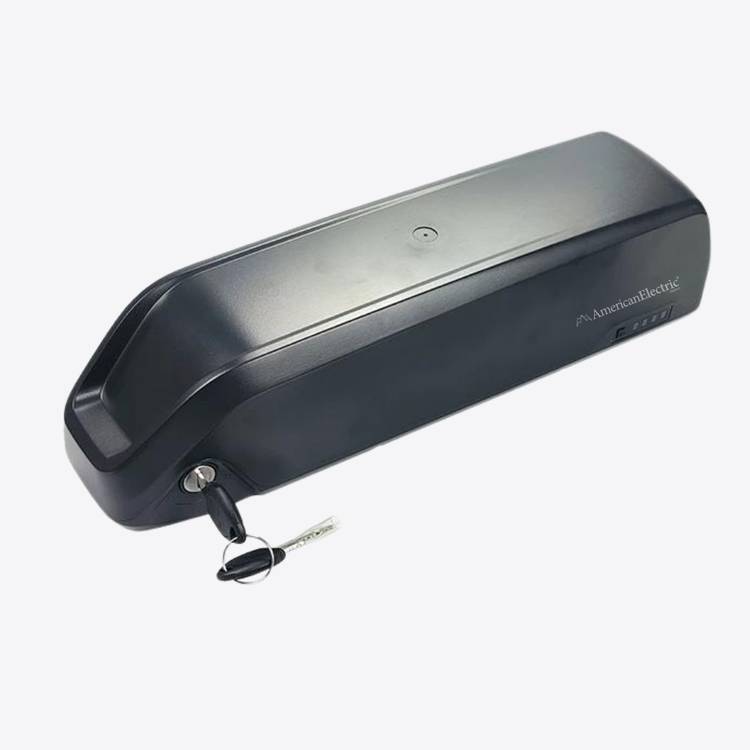 Lithium Batteries – AmericanElectric®