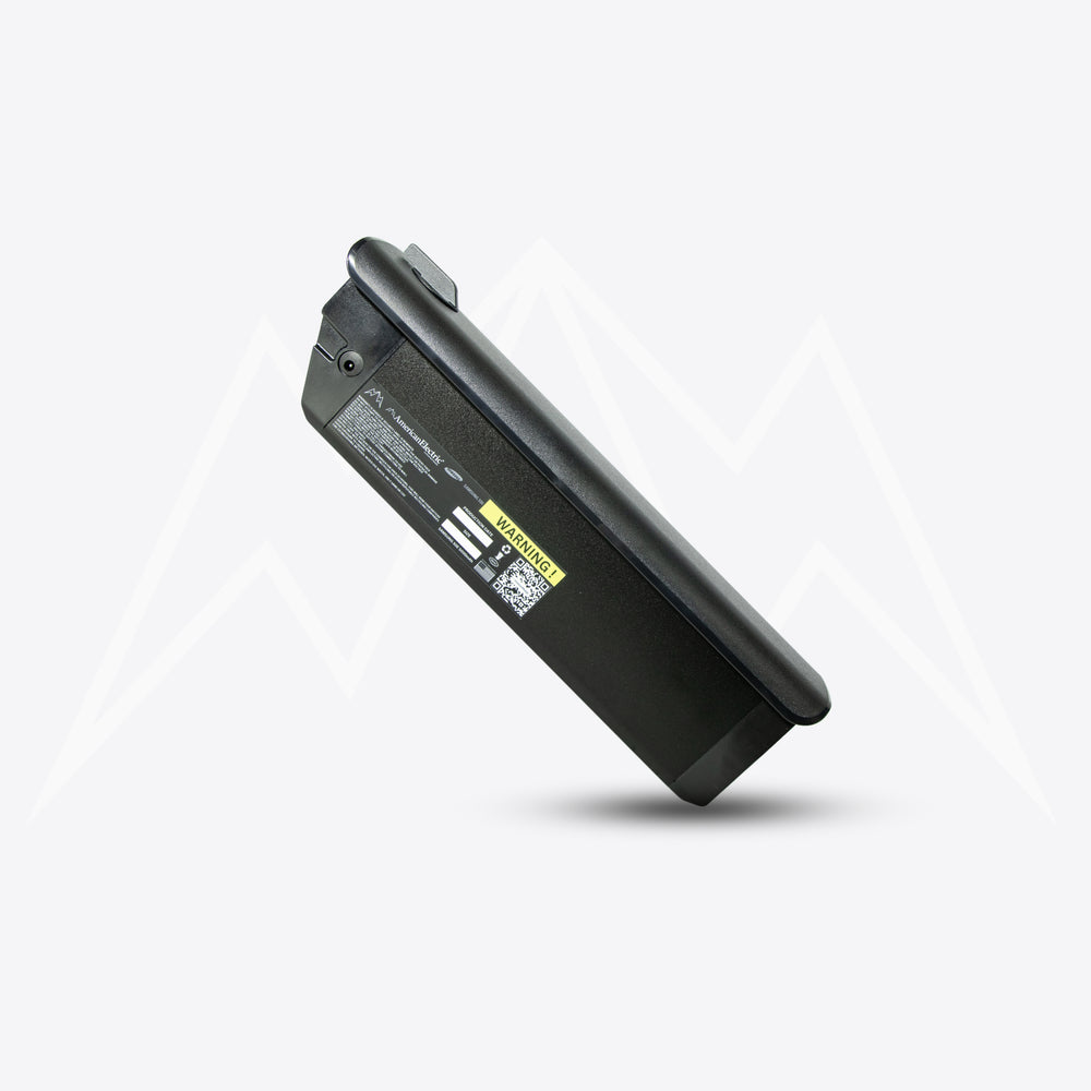 SYNERGY STEP V2 Battery Pack 48V 14AH - America's #1 Choice ...