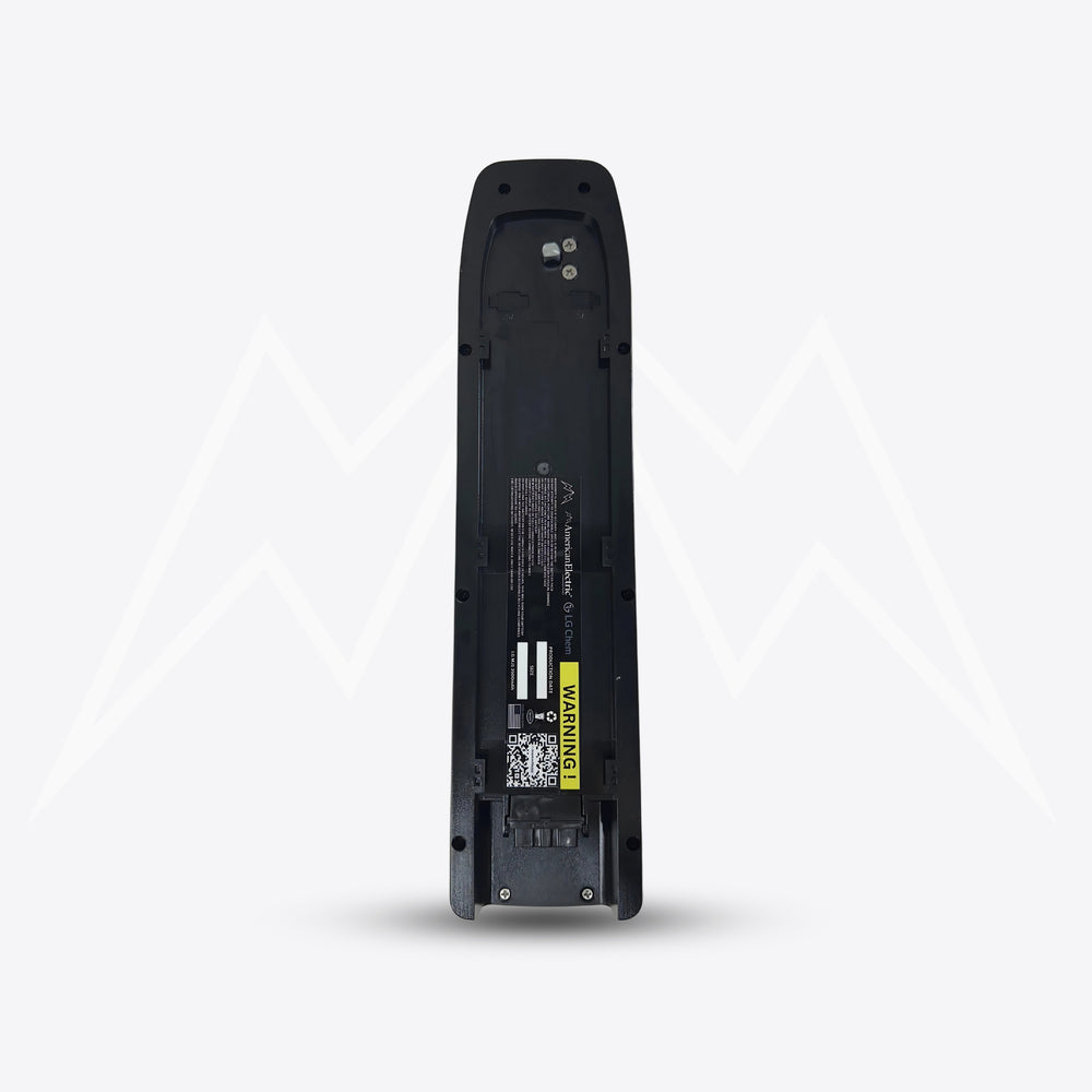 RAD POWER RAD EXPAND 5 Battery Pack 48V 14AH- America's #1 Choice ...