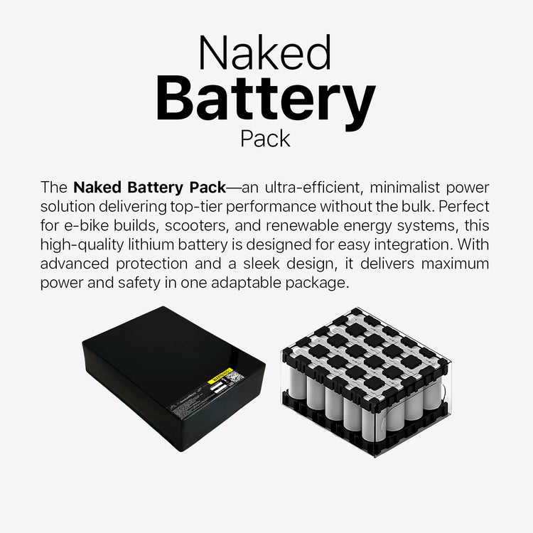 Naked Battery Pack – AmericanElectric®