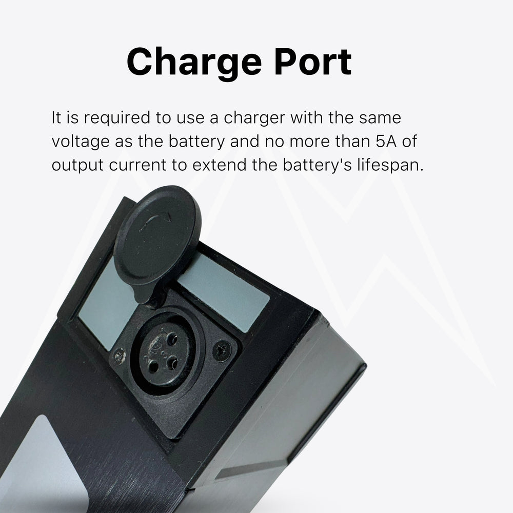 Genze Gen 1 Battery Rebuild - America's #1 Lithium Choice – AmericanElectric®