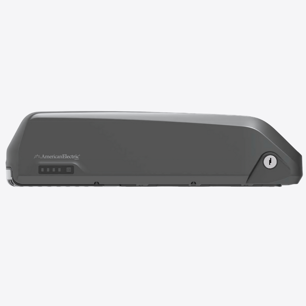 Lithium Batteries – AmericanElectric®