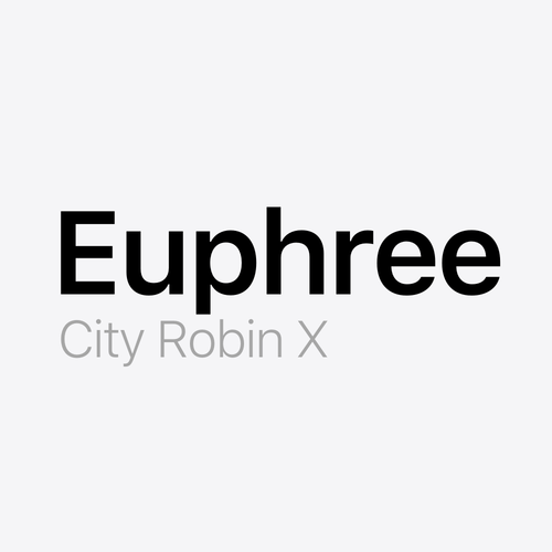 EUPHREE CITY ROBIN X Battery Pack 48V 14AH - America's #1 Choice ...