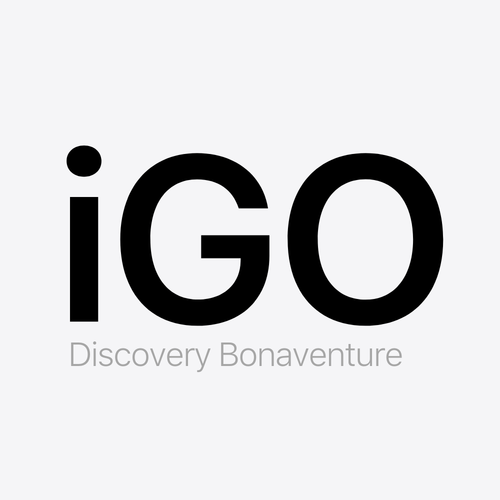 IGO DISCOVERY BONAVENTURE Battery Pack 48V 14AH - America's #1 Choice – AmericanElectric®