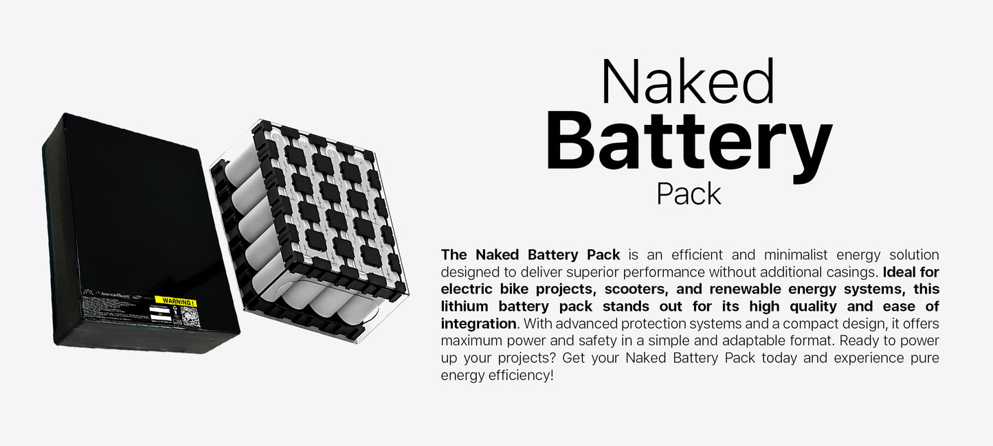 Naked Battery Pack – AmericanElectric®